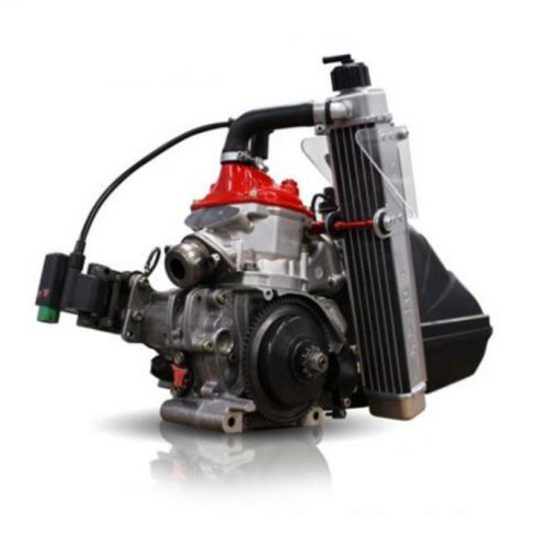 Rotax 125 SENIOR MAX EVO – Haase Danmark